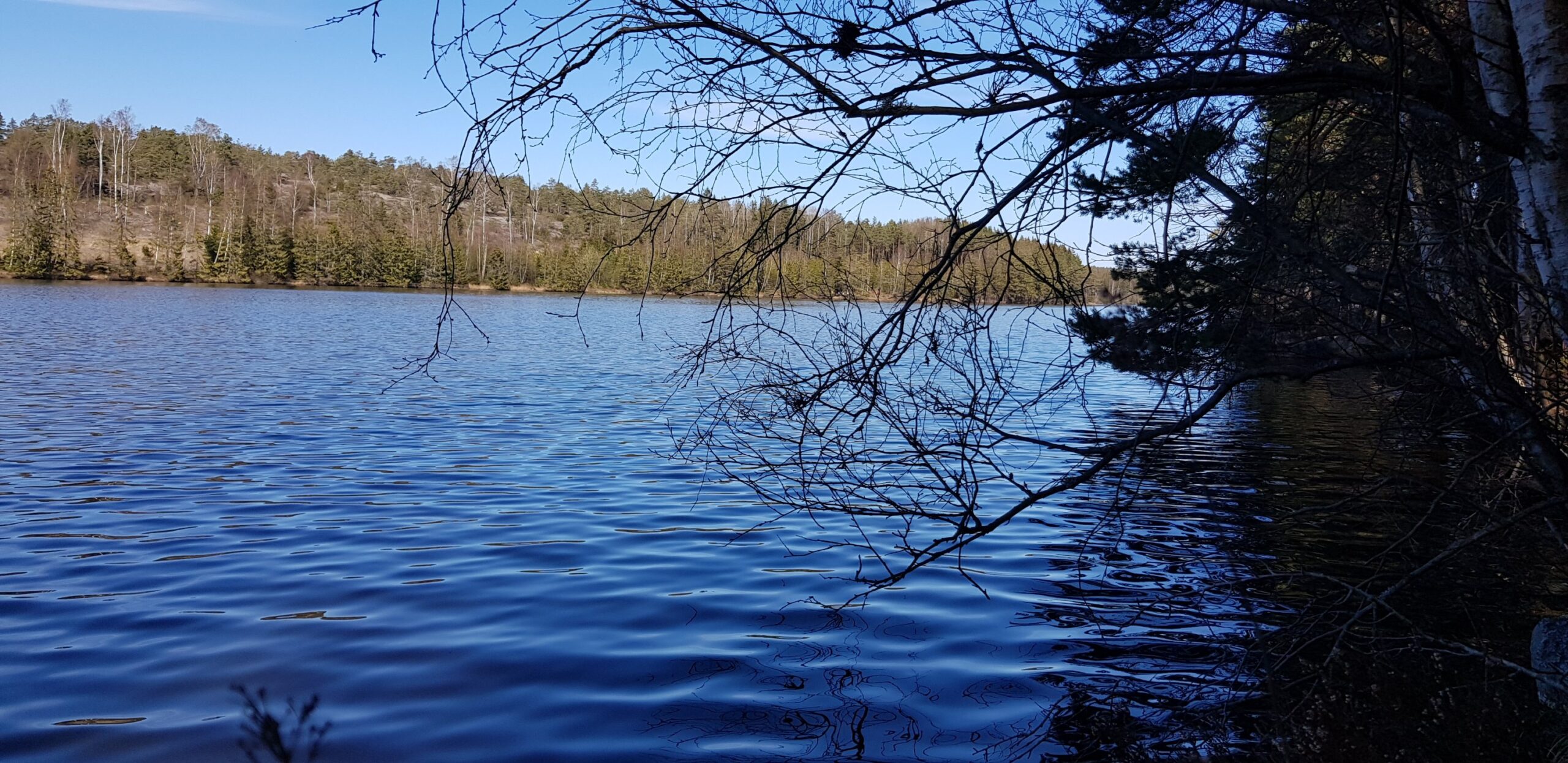 Våren 2020 del 1 – Leidland