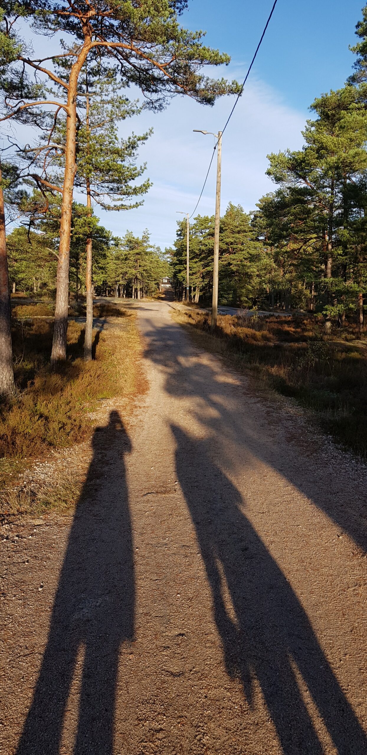 Fin tur i marka – Leidland